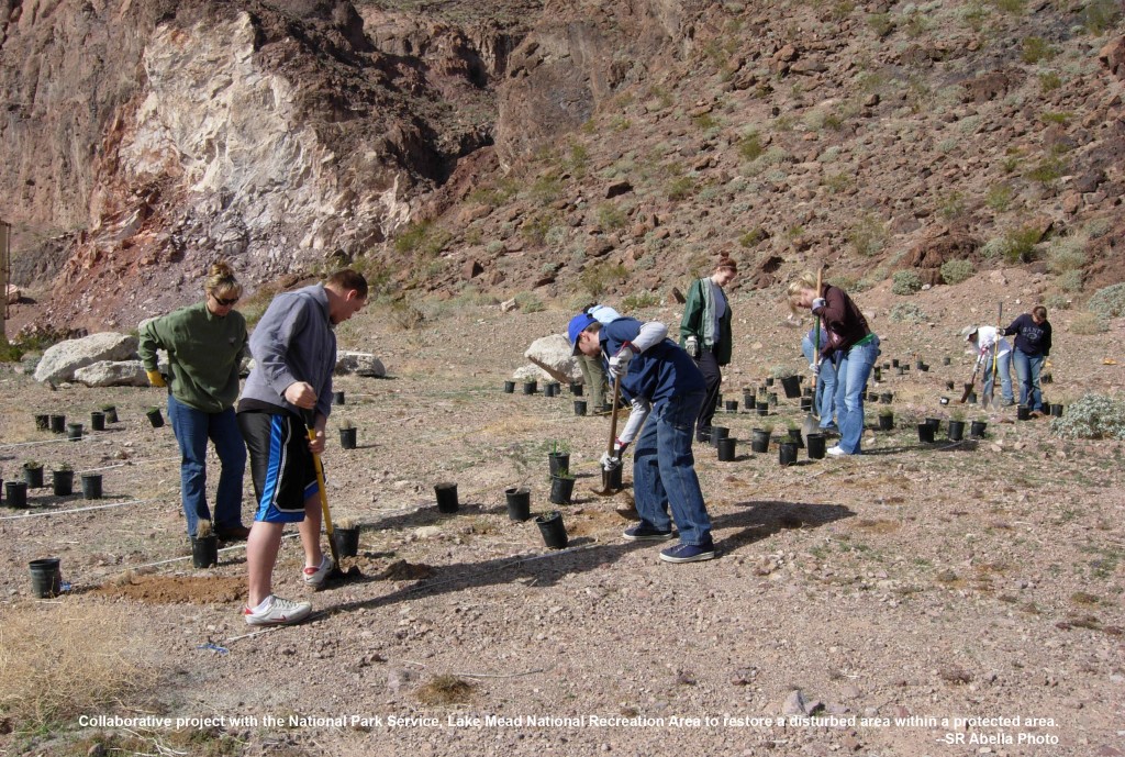 Restoring Resilience in the Nevada Desertnvsolarnexus | NSHE NSF Solar ...