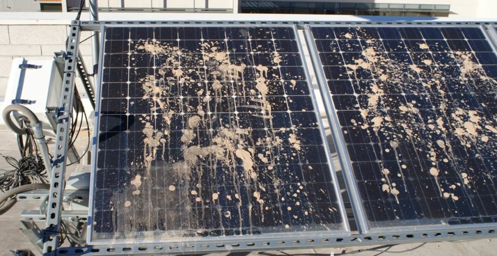 Solar Nexus Researcher focuses developing a standardnvsolarnexus | NSHE ...